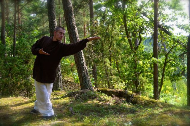 INTERNAL ALCHEMY & SHAOLIN ADVENTURES